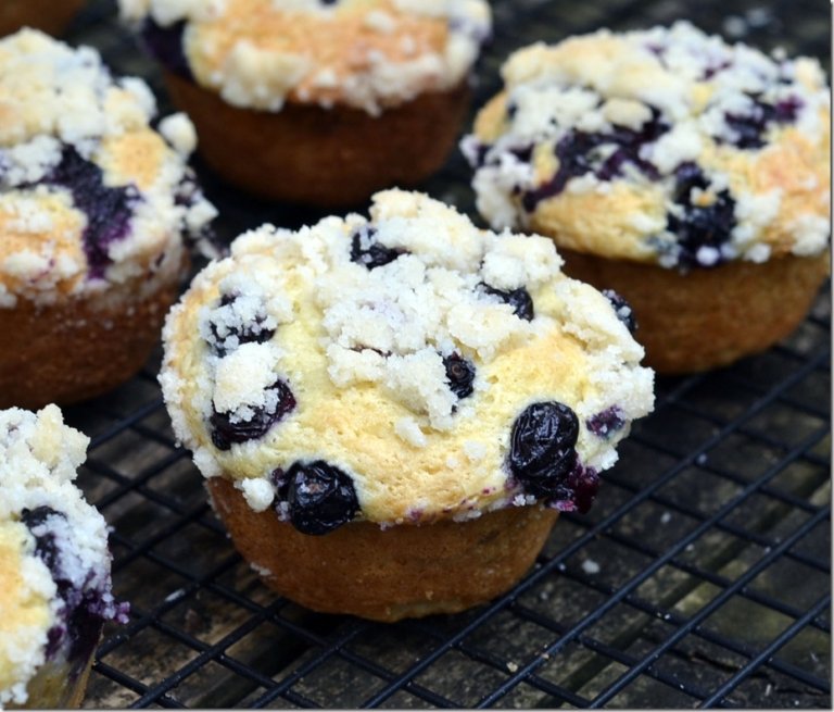 Blueberry Streusel Muffins | My Bizzy Kitchen