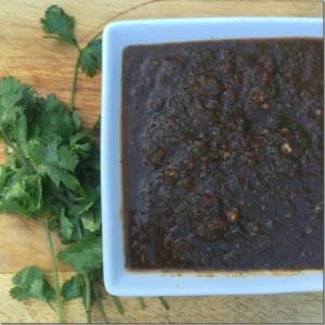 Red Gold Tomato . . . Salsa! | My Bizzy Kitchen