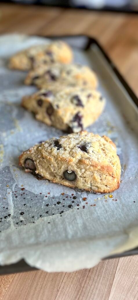 Sourdough Discard Scone Recipe | My Bizzy Kitchen